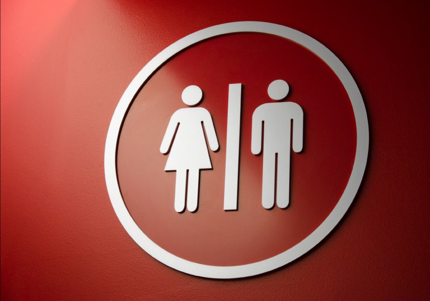 The David Syndrome? By Marcia Mount Shoop – Feminism and Religion