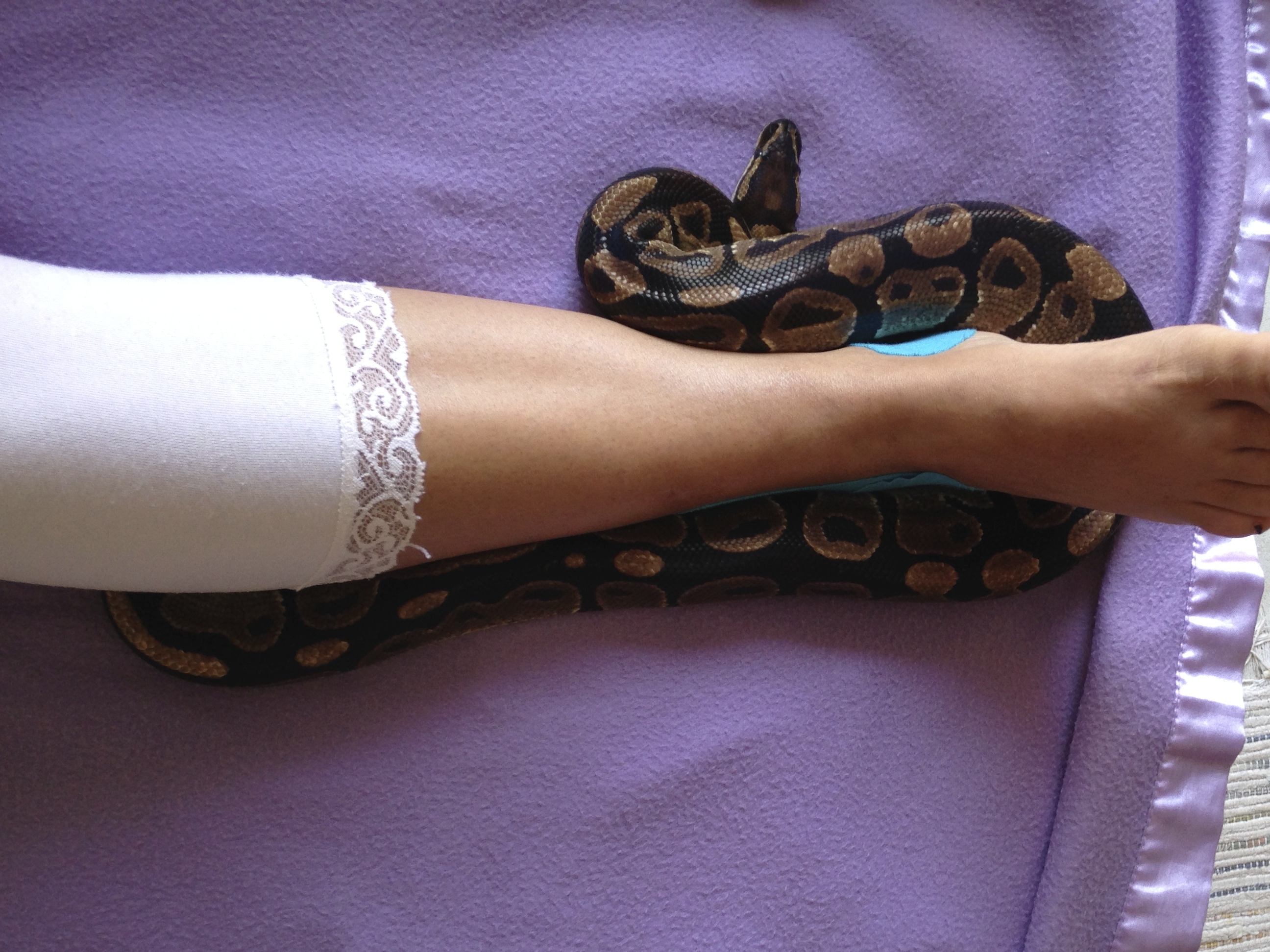 From the Archives: Serpent Healing by Laura Shannon – Feminism and Religion