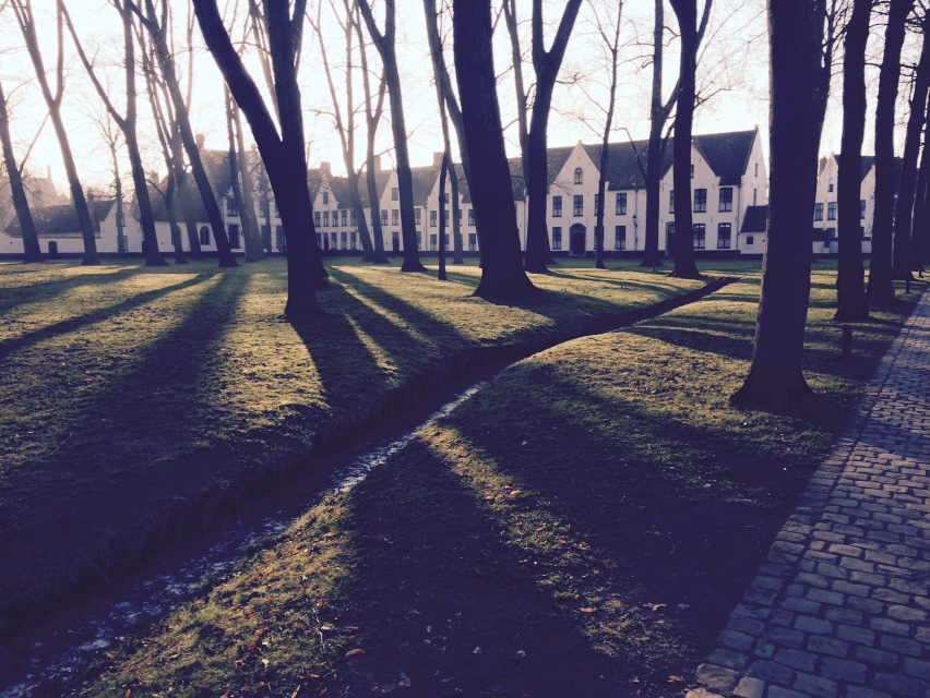 The Medieval Beguines: Models for Spiritual Agency Today by Cynthia ...