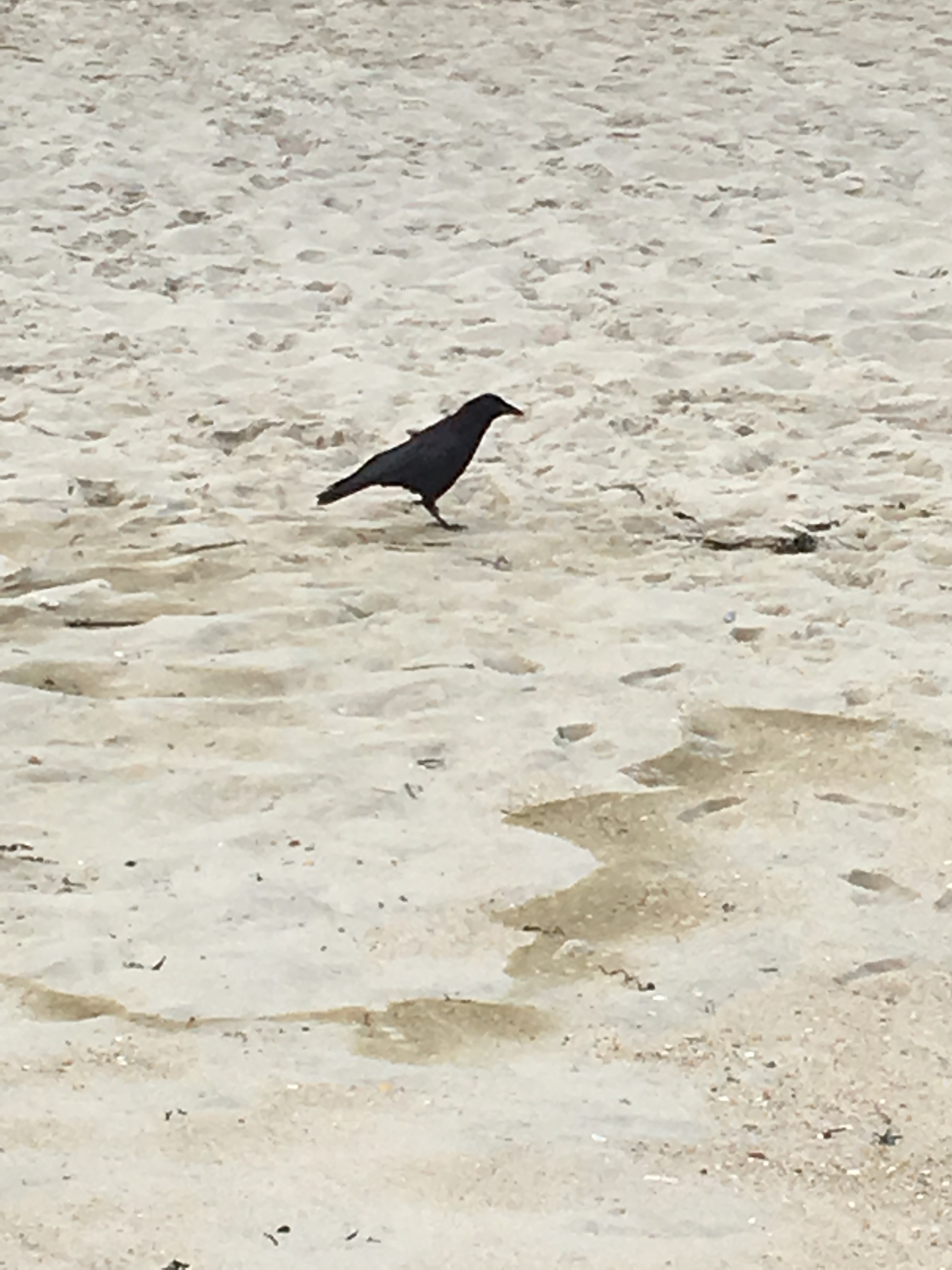 Crowding into the Spirit World: Reclaiming a Metaphysics of ...