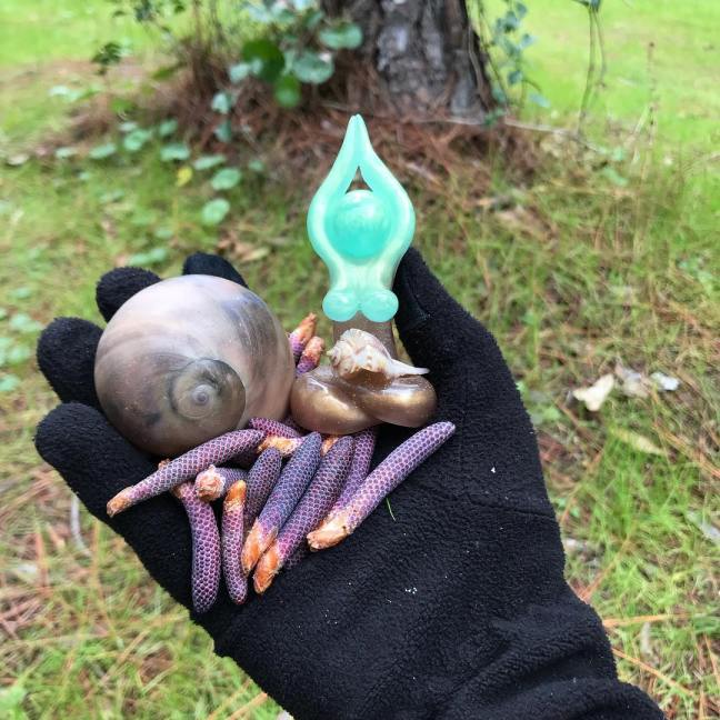 Devotion by Molly Remer – Feminism and Religion