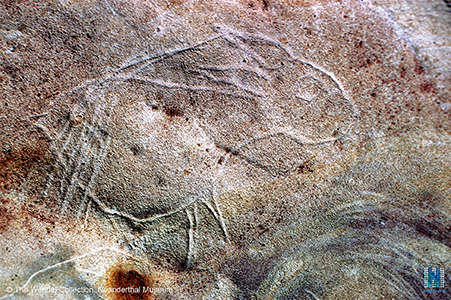 Hare Spirit Guide – Fertility and Renewal, by Judith Shaw