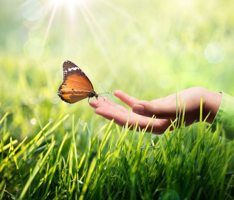 Gentle Moments in a Violent World by Marcia Mount Shoop