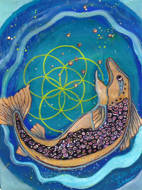 Salmon of Wisdom by Judith Shaw – Feminism and Religion