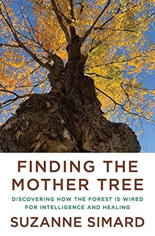 “Finding The Mother Tree” by Sara Wright – Feminism and Religion