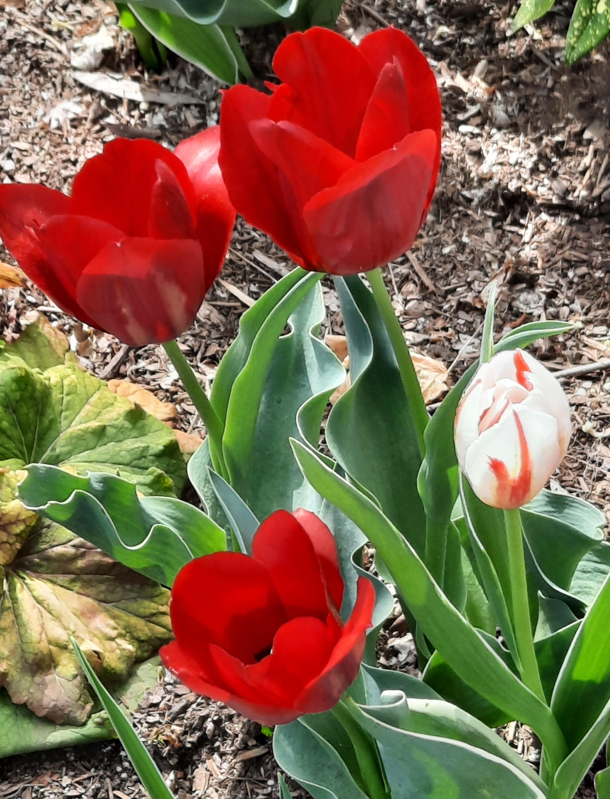 Exploring the F-word in religion at the intersection of scholarship ...