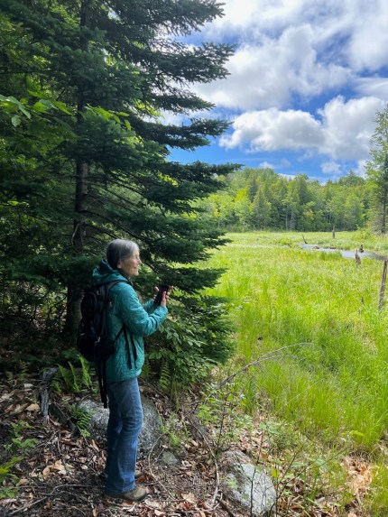 Witches Butter by Sara Wright