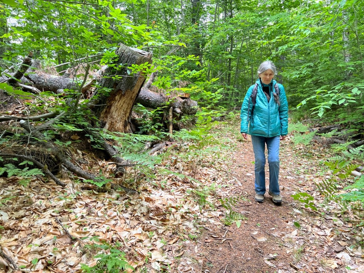 Three poems by Sara Wright