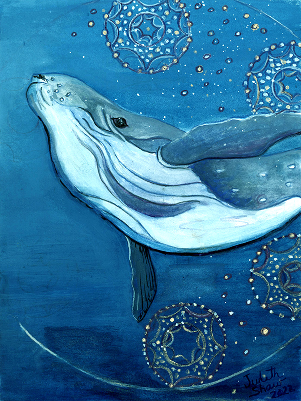 Whale – Lord of the Sea by Judith Shaw – Part 1