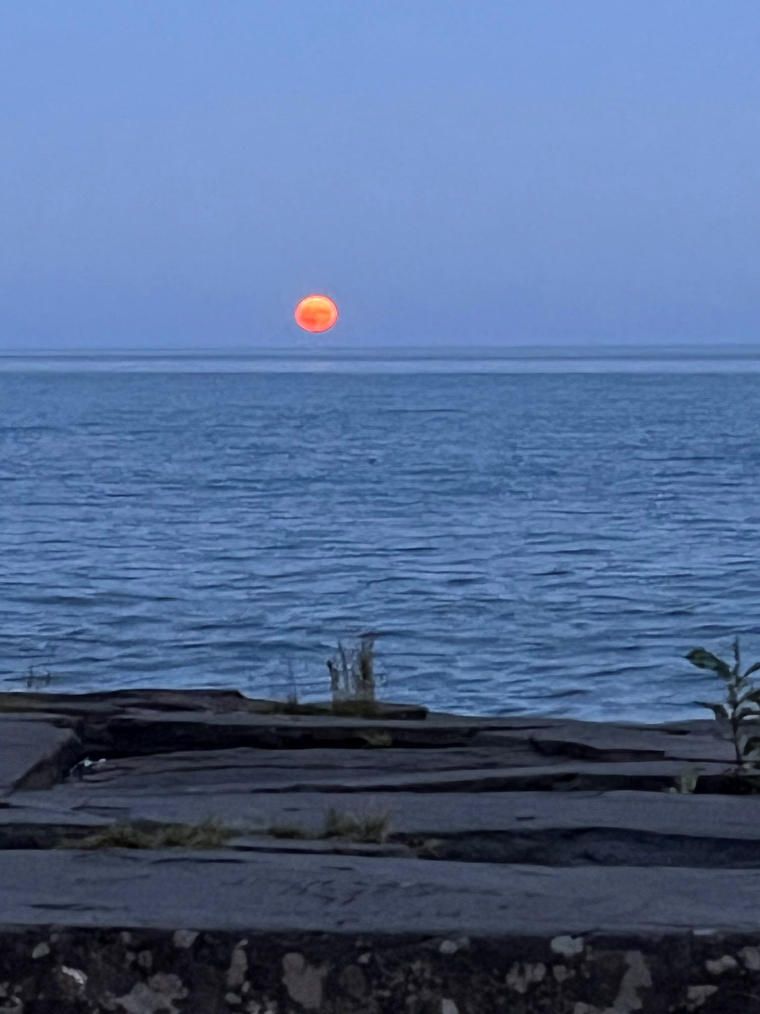 Moon Worshippers by Beth Bartlett – Feminism and Religion