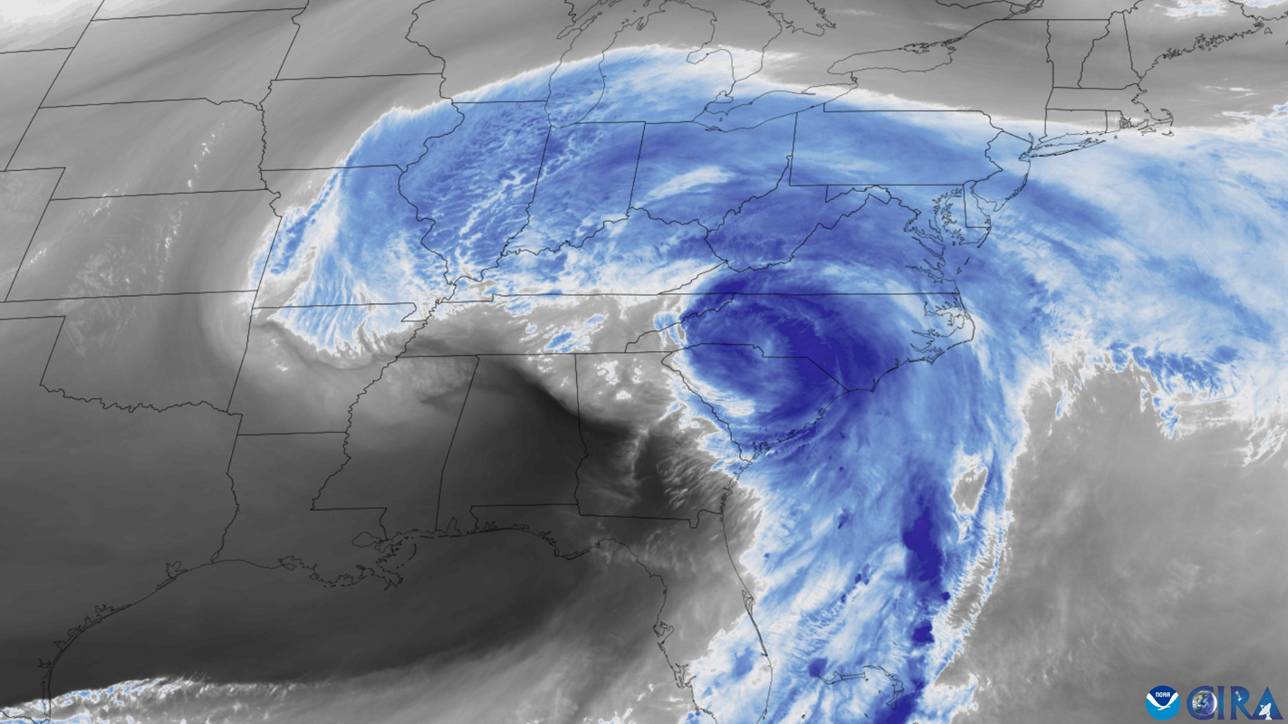The Wave: Poems from Hurricane Helene by Annelinde Metzner – Feminism ...