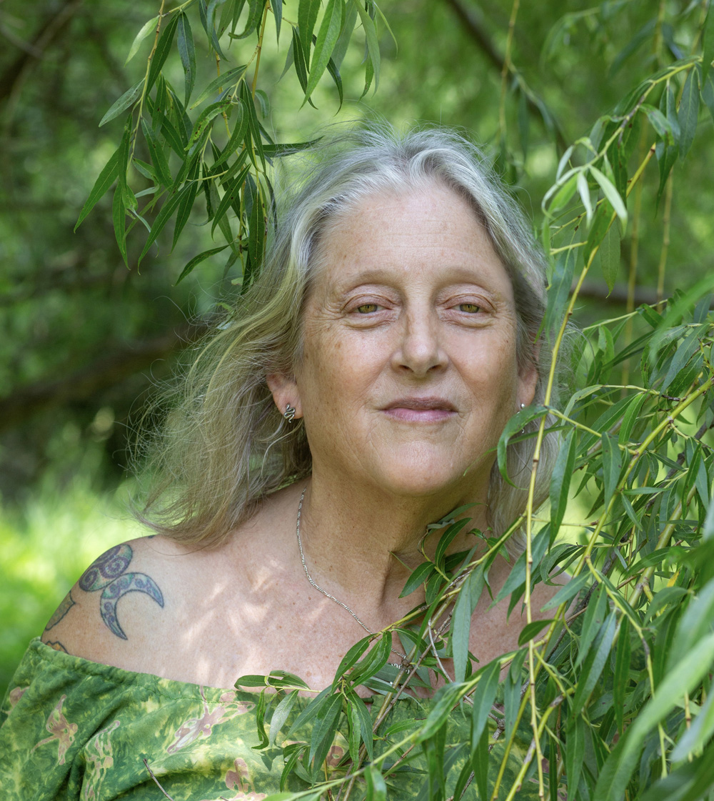 The Furious Sun in Her Mane: Nine Poems to Goddesses by Annie Finch ...