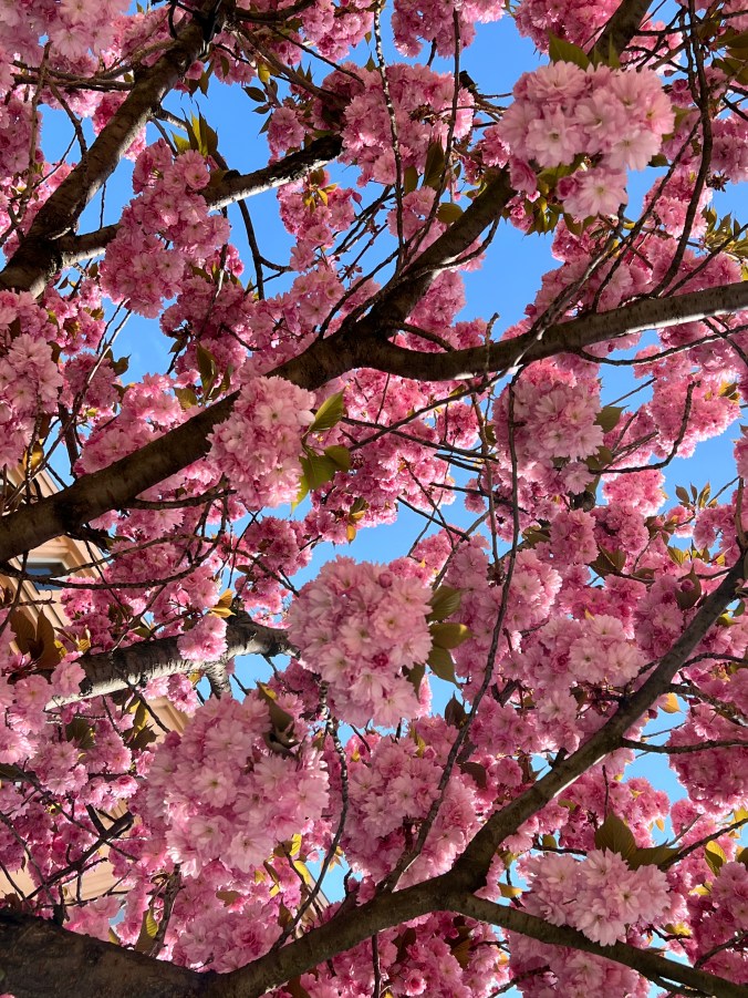 On Active Waiting, Counting the Omer, and Our Connection to Nature ...